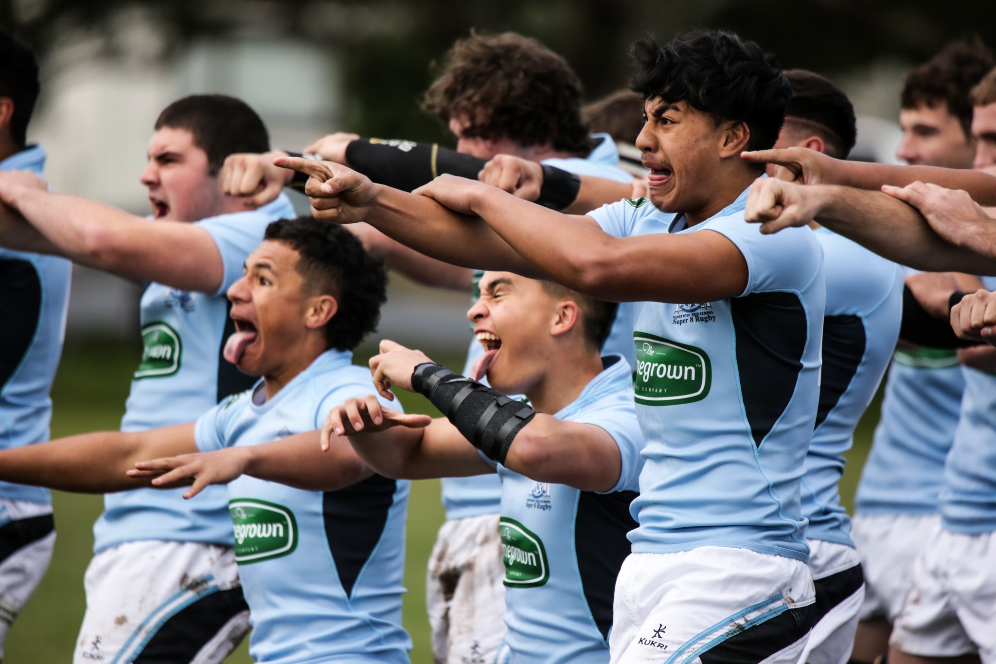 Napier Boys’ High School Rugby Update | Napier Boys' High School
